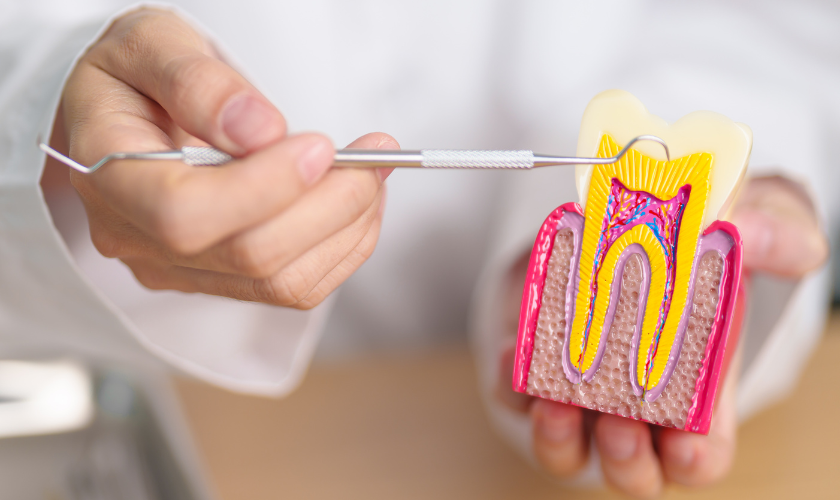 Healing Your Smile: Root Canal Recovery Tips